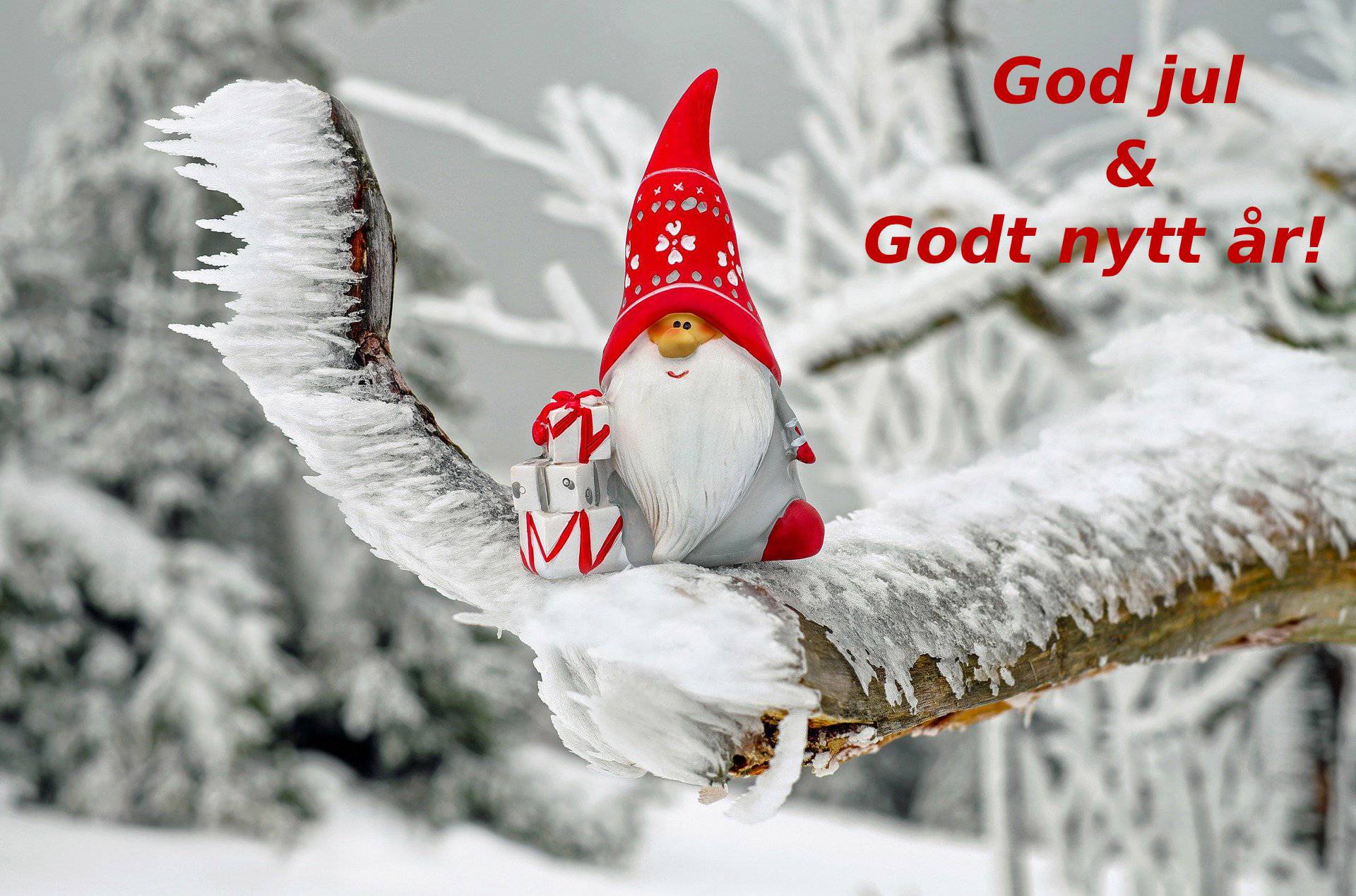God jul og godt nyttår
